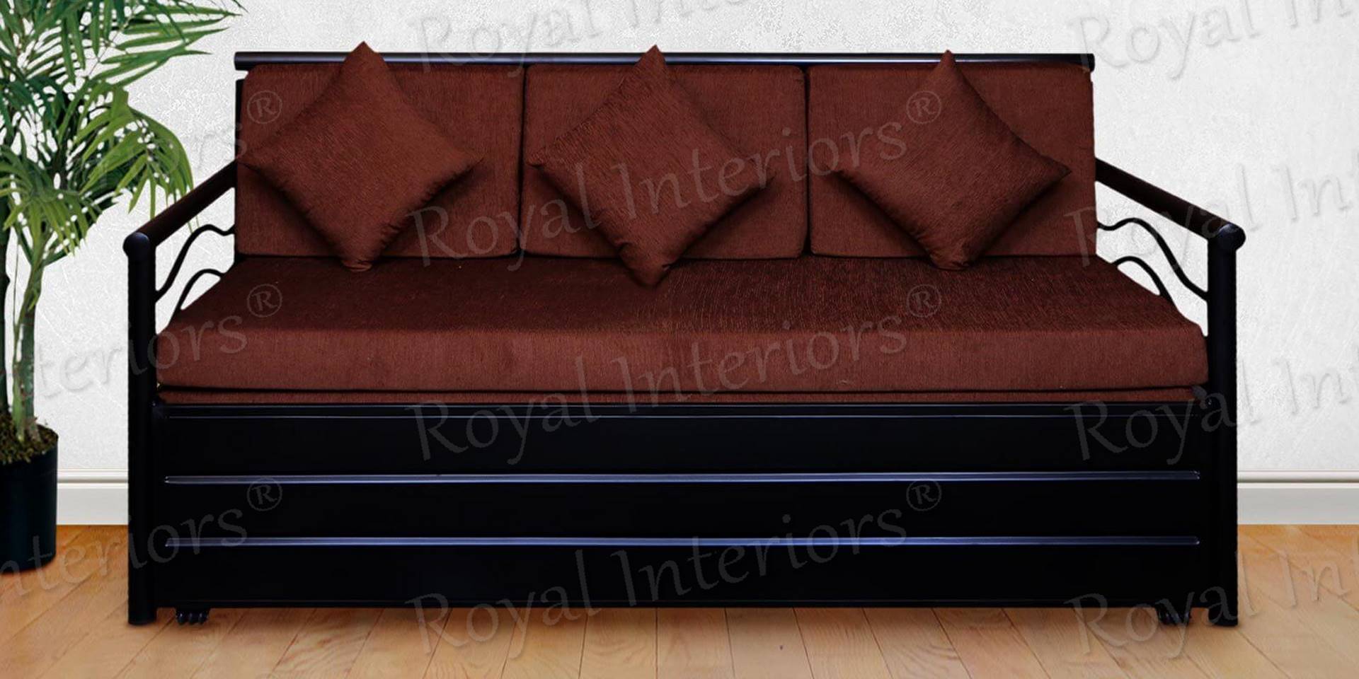 Bckin Sofa cum Bed Royal Interiors